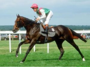 Dancing Brave | Horse Profiles